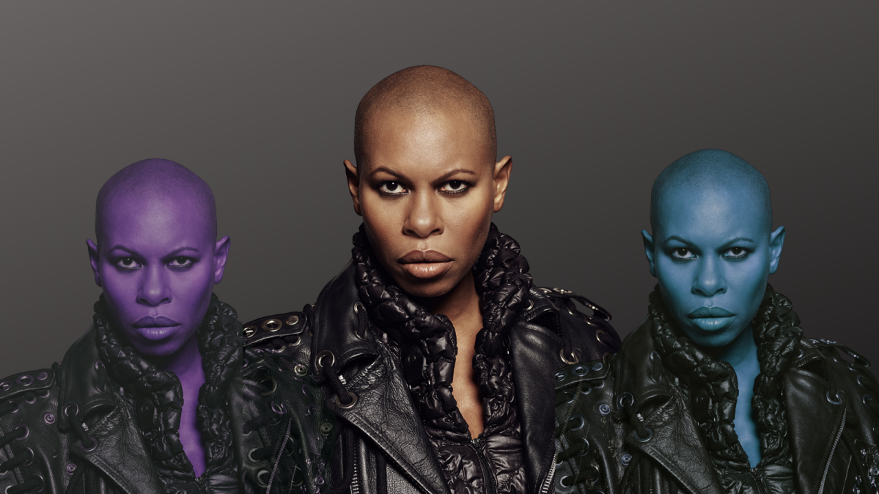 Skunk Anansie singer Skin on life, identity and revealing all in her ...
