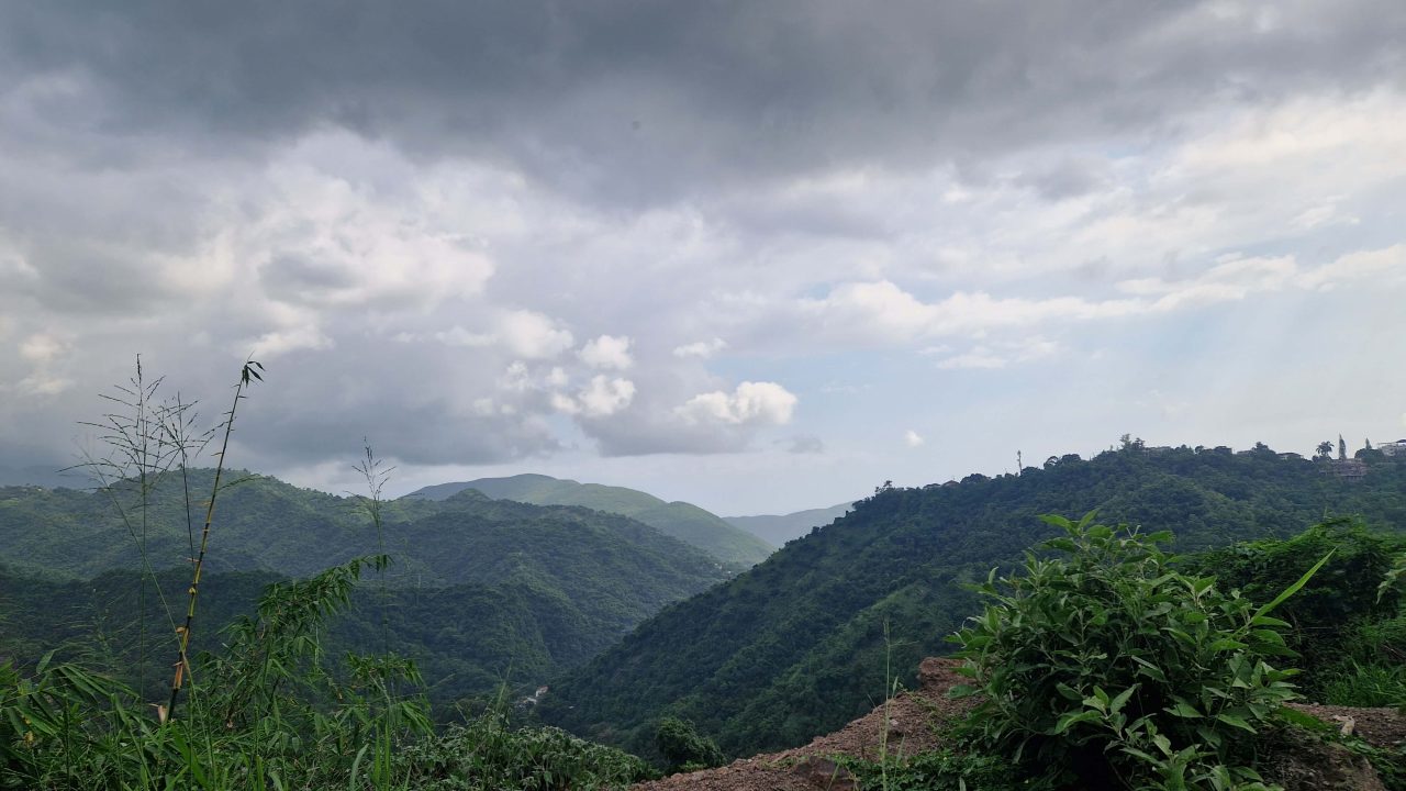 Kingston Jamaica: An insider’s guide on what you should see and do ...